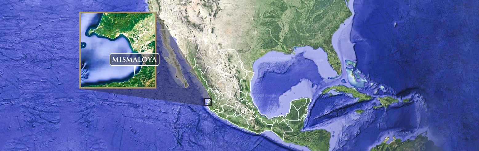 DMC in Puerto Vallarta | Tropical Incentives DMC